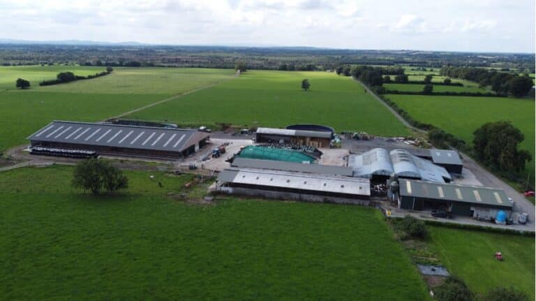 Dairy Farm Jobs Ireland | Ireland dairy farm recruiter